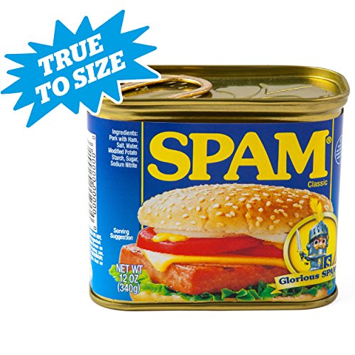 SPAM Can Safe | Secret Stashing