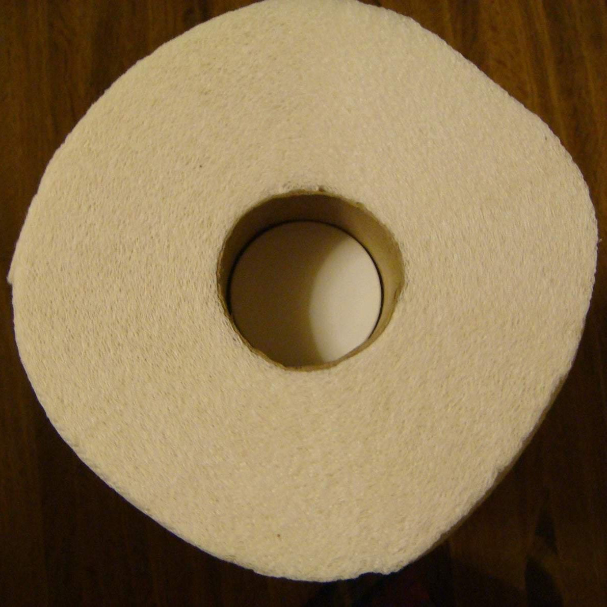 Paper Towel Insert Tube Hidden Compartment | Secret Stashing